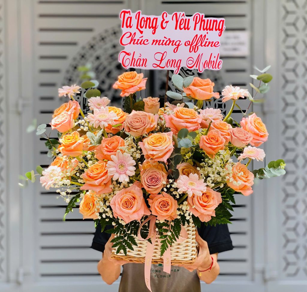 Peach Harmony - Hoa Tường Nguyên